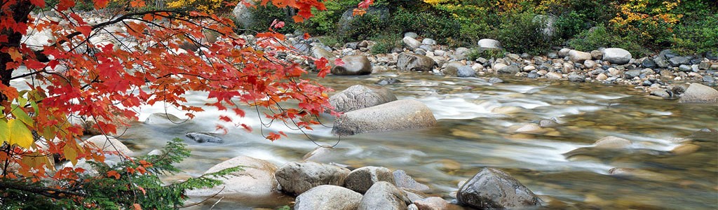 By-laws - The Township of Perry